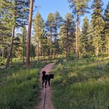 Red Rocks Trail, Colorado - 1,232 Reviews, Map | AllTrails