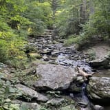 Kelly's Run Loop Trail, Pennsylvania - 3,652 Reviews, Map | AllTrails