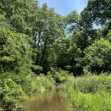 Martell Forest Loop, Indiana - 574 Reviews, Map | AllTrails