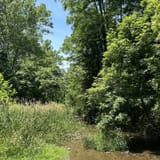 Martell Forest Loop, Indiana - 574 Reviews, Map | AllTrails