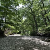 Martell Forest Loop, Indiana - 574 Reviews, Map | AllTrails