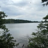 Lake Thom-a-Lex Nature Trail, North Carolina - 264 Reviews, Map | AllTrails