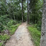 Lake Thom-a-Lex Nature Trail, North Carolina - 264 Reviews, Map | AllTrails