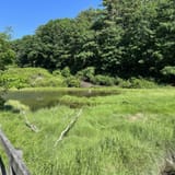 Fore River Sanctuary White Trail, Maine - 1,424 Reviews, Map | AllTrails