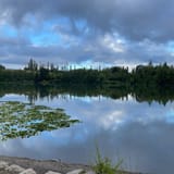 Waughop Lake Loop , Washington - 698 Reviews, Map | AllTrails