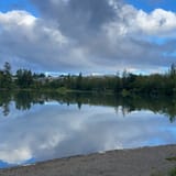 Waughop Lake Loop , Washington - 698 Reviews, Map | AllTrails