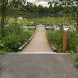 Waughop Lake Loop , Washington - 698 Reviews, Map | AllTrails