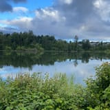 Waughop Lake Loop , Washington - 698 Reviews, Map | AllTrails
