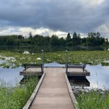 Waughop Lake Loop , Washington - 698 Reviews, Map | AllTrails