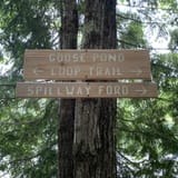 Goose Pond Loop, New Hampshire - 693 Reviews, Map | AllTrails