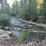 Junction Creek Campground via Junction Creek Trail, Colorado - 455 ...