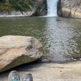 Elk River Falls Trail, North Carolina - 728 Reviews, Map | AllTrails