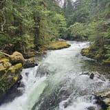 Deception Falls Interpretive Trail, Washington - 644 Reviews, Map ...