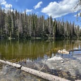 Trampas Lakes Trail, New Mexico - 549 Reviews, Map | AllTrails