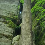 Rimrock Overlook Trail, Pennsylvania - 539 Reviews, Map | AllTrails