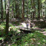 Gerard Hiking Trail, Pennsylvania - 300 Reviews, Map | AllTrails