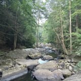 Edward's Point Trail, Tennessee - 2,608 Reviews, Map | AllTrails