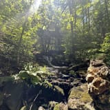 Zoar Trail, Connecticut - 2,339 Reviews, Map | AllTrails