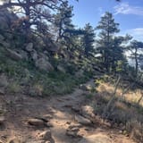Mount Galbraith Loop via Cedar Gulch Trail, Colorado - 11,301 Reviews ...