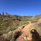 Mount Galbraith Loop via Cedar Gulch Trail, Colorado - 11,301 Reviews ...