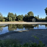 UC Davis Arboretum Trail, California - 1,384 Reviews, Map | AllTrails
