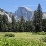 Sentinel Meadow Cook's Meadow Loop Trail, California - 3,617 Reviews ...