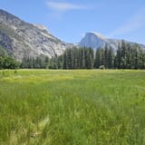 Sentinel Meadow Cook's Meadow Loop Trail, California - 3,617 Reviews ...
