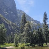 Sentinel Meadow Cook's Meadow Loop Trail, California - 3,625 Reviews ...
