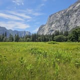 Sentinel Meadow Cook's Meadow Loop Trail, California - 3,617 Reviews ...
