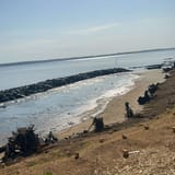 Marl Ravine Trail, Virginia - 52 Reviews, Map | AllTrails