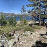 Spaulding Lake via Pioneer Trail, California - 961 Reviews, Map | AllTrails