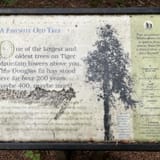 Tradition Lake Loop Trail, Washington - 1,606 Reviews, Map | AllTrails
