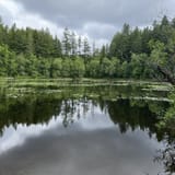 Tradition Lake Loop Trail, Washington - 1,643 Reviews, Map | AllTrails