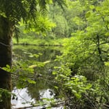 Tradition Lake Loop Trail, Washington - 1,643 Reviews, Map | AllTrails