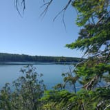 Devil’s Back Trail, Maine - 359 Reviews, Map | AllTrails