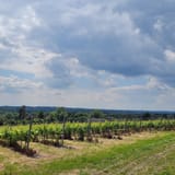 Boxley and the North Downs Circular, Kent, England - 476 Reviews, Map ...