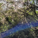 Boxley and the North Downs Circular, Kent, England - 476 Reviews, Map ...