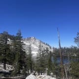 Mono Meadow Trail, California - 90 Reviews, Map | AllTrails