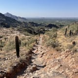 Ruth Hamilton Trail, Arizona - 3,312 Reviews, Map | AllTrails