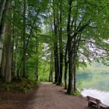 Alpsee Loop, Bavaria, Germany - 290 Reviews, Map | AllTrails