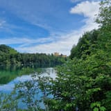 Alpsee Loop, Bavaria, Germany - 290 Reviews, Map | AllTrails