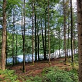 Alpsee Loop, Bavaria, Germany - 290 Reviews, Map | AllTrails