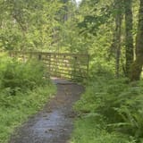 Mima Falls Loop, Washington - 1,686 Reviews, Map | AllTrails