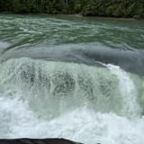 Rearguard Falls Trail, British Columbia, Canada - 220 Reviews, Map ...