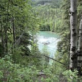 Rearguard Falls Trail, British Columbia, Canada - 220 Reviews, Map ...