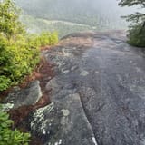 Cat Gap Trail to John Rock Loop, North Carolina - 2,151 Reviews, Map ...