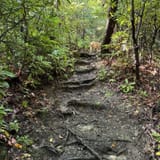 Cat Gap Trail to John Rock Loop, North Carolina - 2,151 Reviews, Map ...