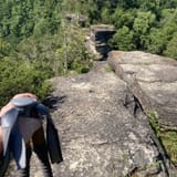 Window Cliffs Trail, Tennessee - 1,490 Reviews, Map | AllTrails