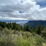 Mount Walker, Washington - 2,152 Reviews, Map | AllTrails
