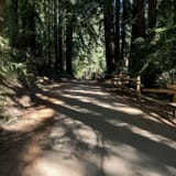 Stream, East Ridge, and Canyon Loop, California - 1,836 Reviews, Map ...